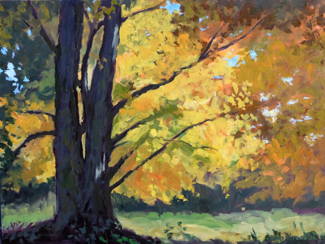 The Glow of October Maple Trees vermont Landscape Autumn - Etsy