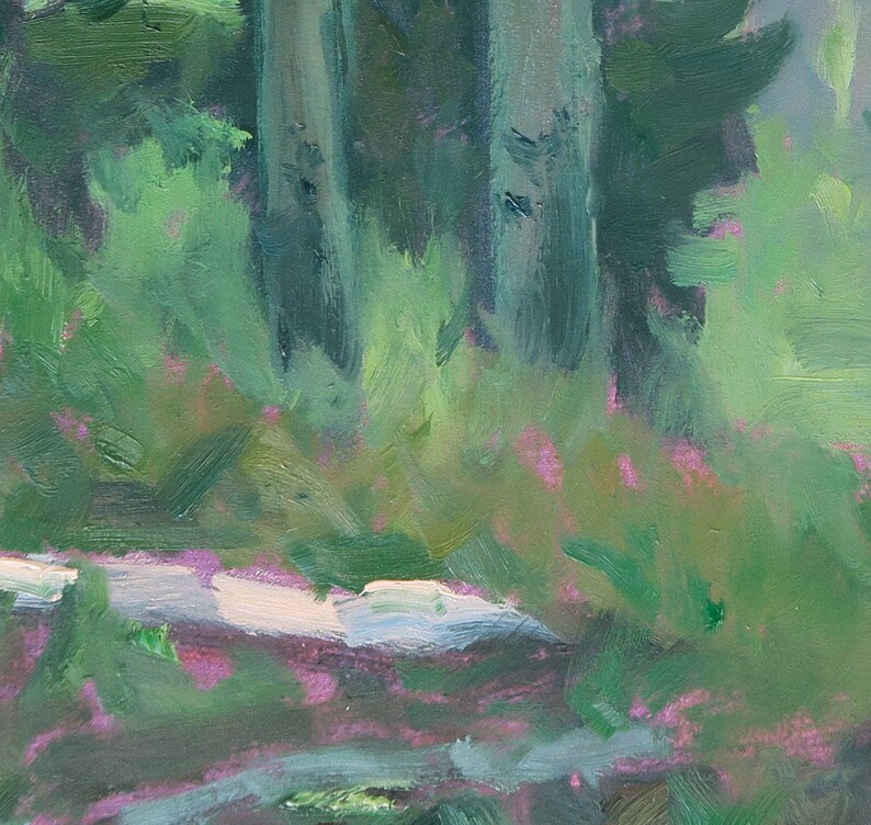 Morning Dawning in the Enchanted Forest (plein Air Painting, Aspen ...