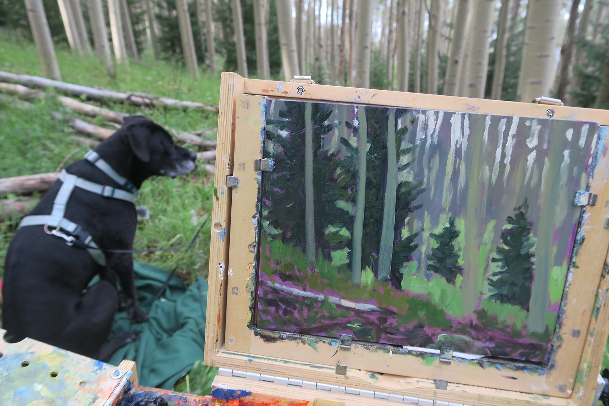 Morning Dawning in the Enchanted Forest plein Air Painting - Etsy