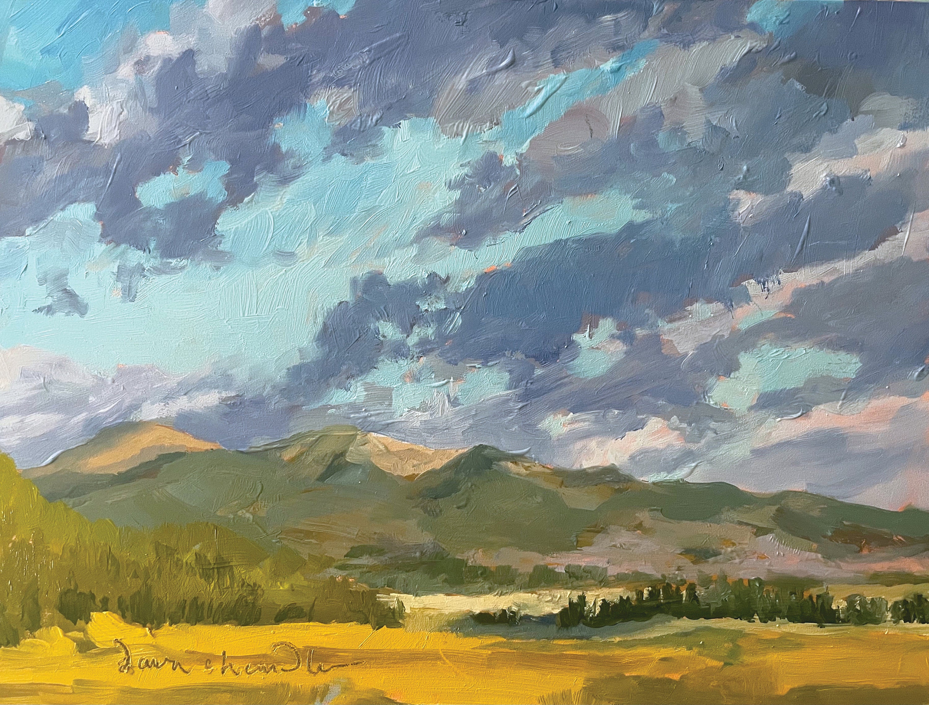 Colorado Landscape Summer
