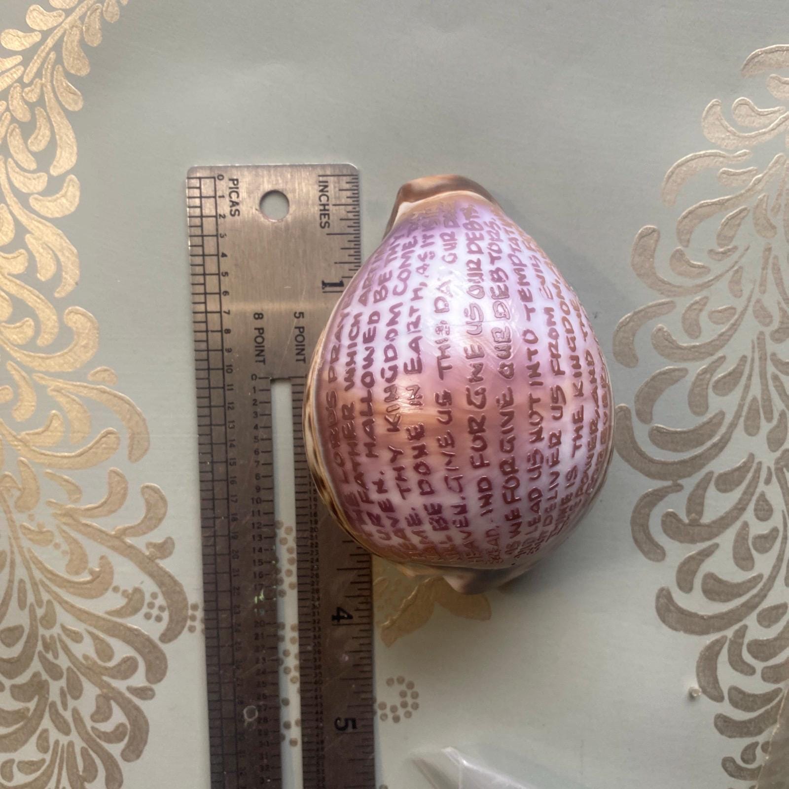 Vintage Seashell With the Lords Prayer Embossed. 3.5 X 2.5 Inches. A ...