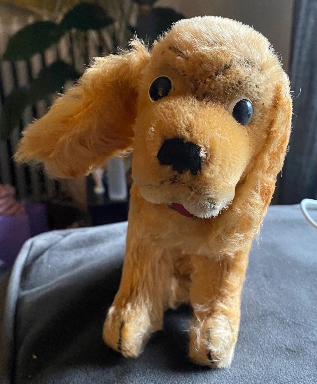 Vintage Steiff Susi Cocker Spaniel Dog. Mohair With Steiff Button. 7 ...
