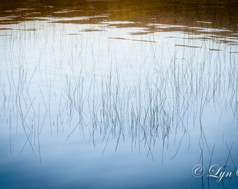 Reflections Nature photography landscape photography | Etsy