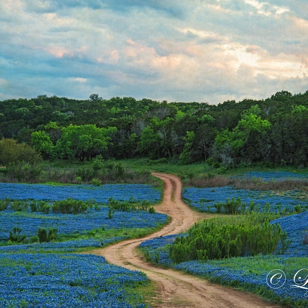 Texas Hill Country Photo - Etsy