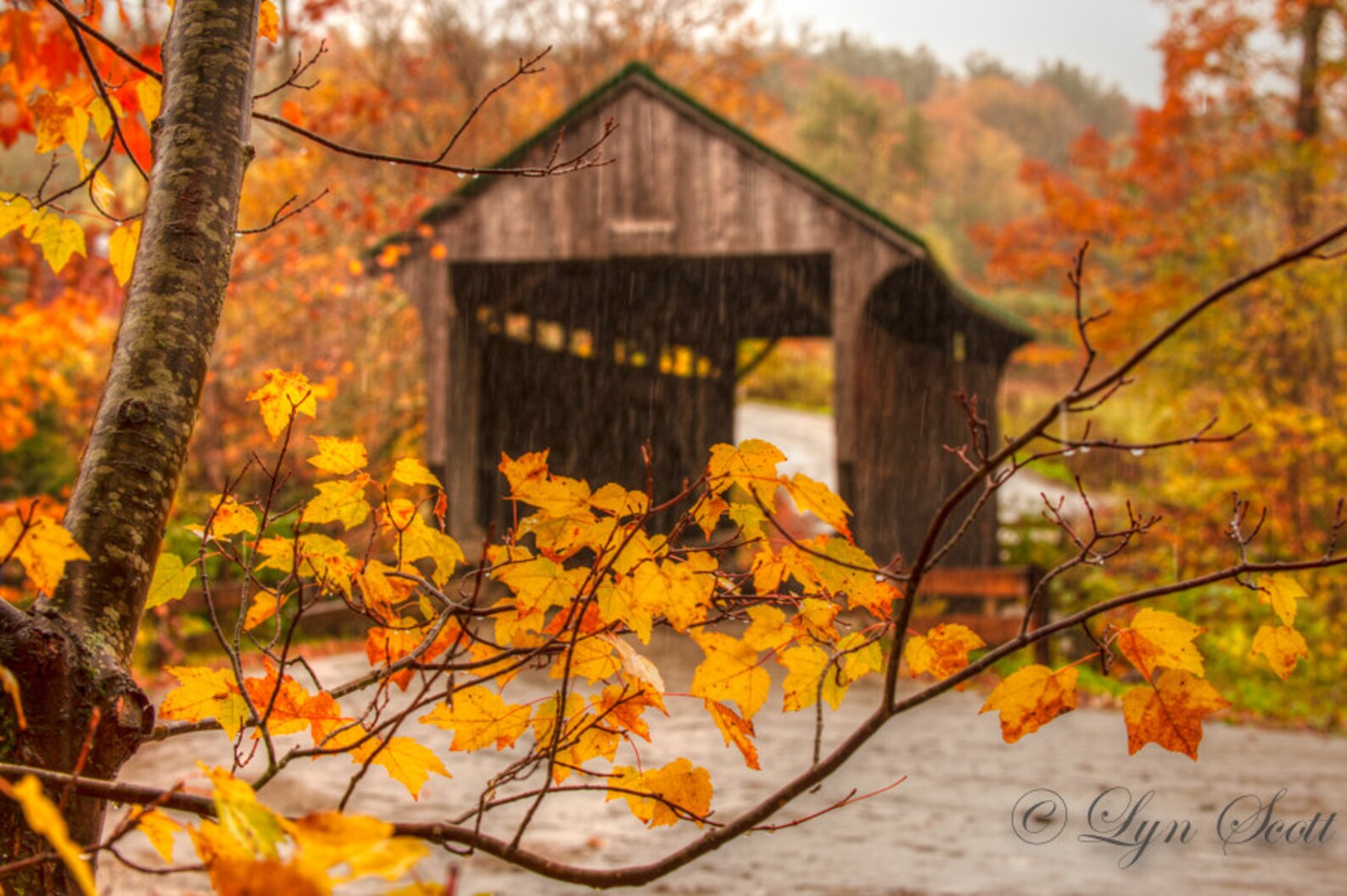 Covered Bridge - Nature Photography, Landscape Photography, Fall ...