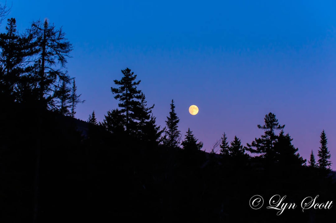 Moon Rising - Nature Photography, Fine Art, Wall Art, Home Decor ...