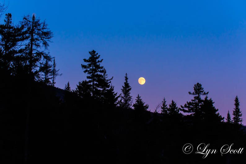 Moon Rising Nature Photography Fine Art Wall Art Home - Etsy