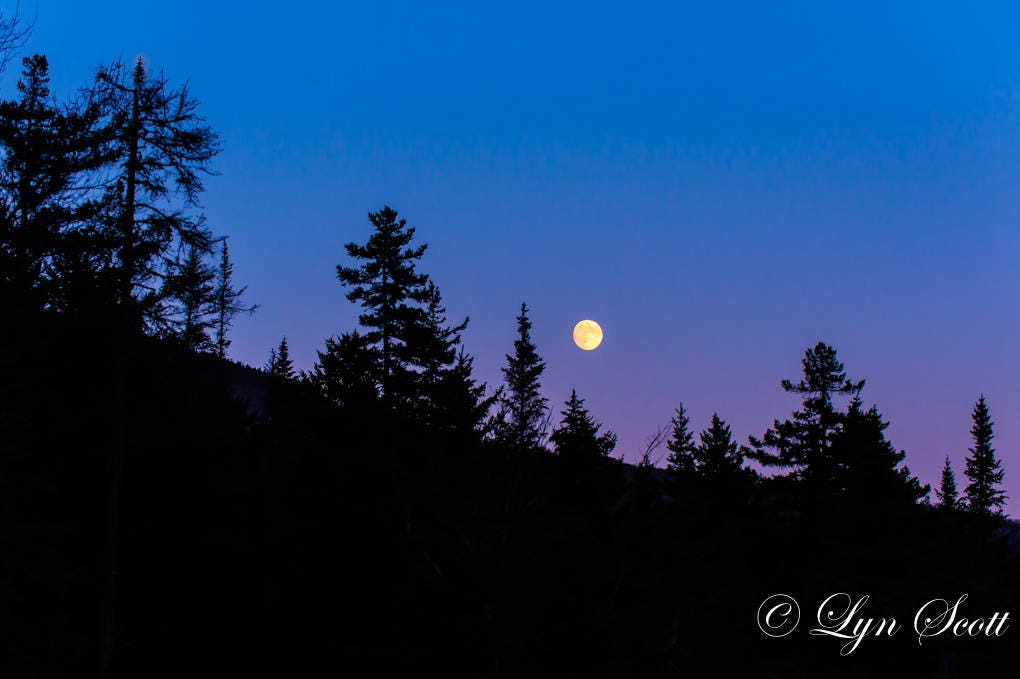 Moon Rising Nature Photography Fine Art Wall Art Home - Etsy