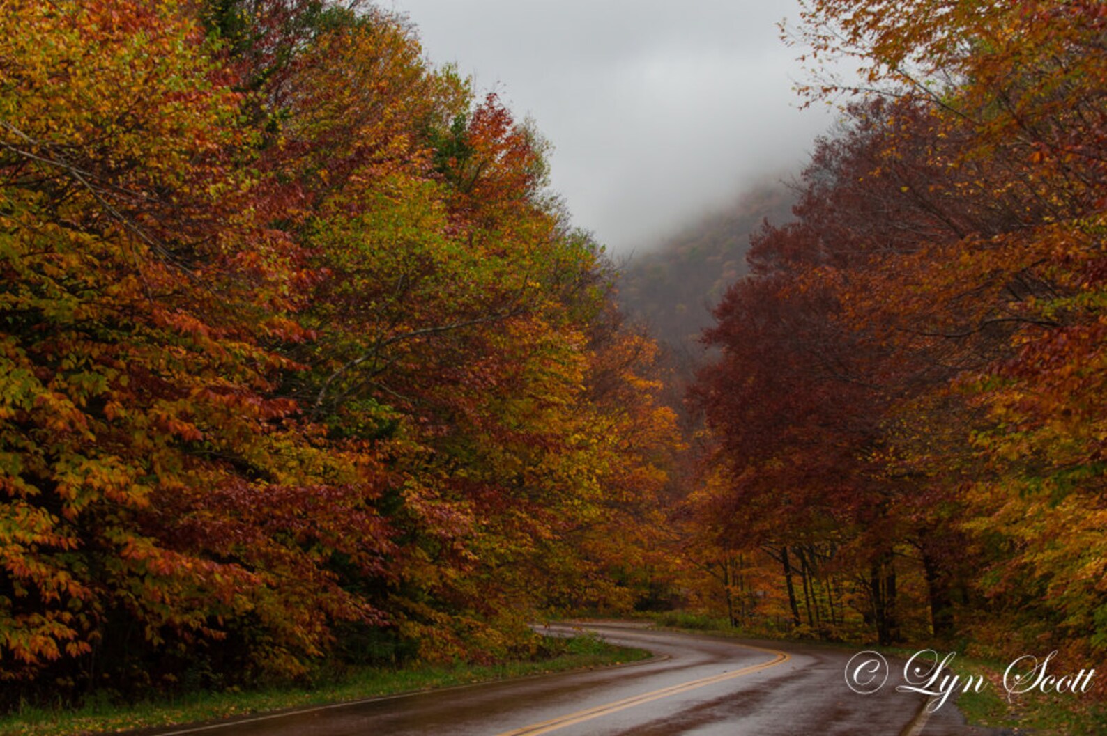 Vermont Color - Nature Photography, Landscape Photography, Fall, Autumn ...