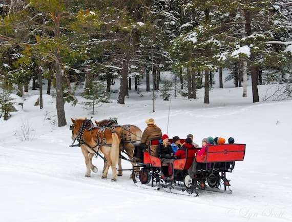 Christmas Sleigh Horse