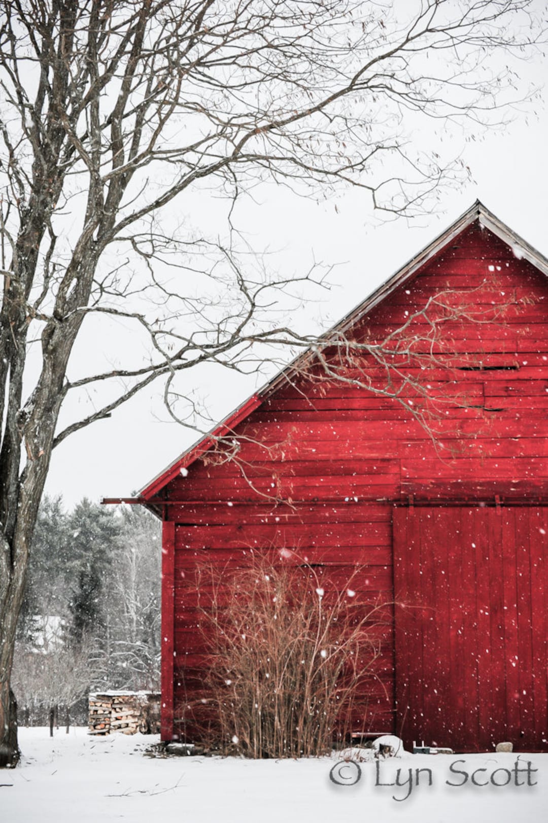 The Snowy Red Barn - Christmas,red Barn, Winter, Snow, Home Decor ...