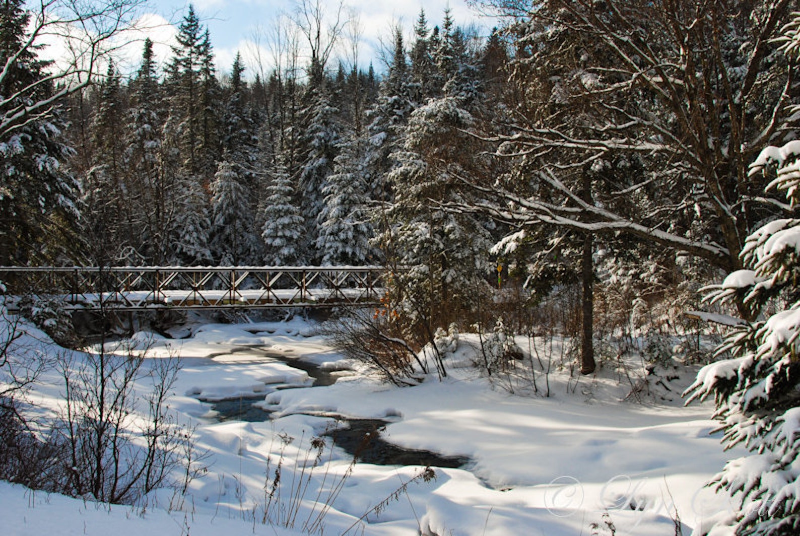 The Snowy River Scene Nature Photography Landscape - Etsy