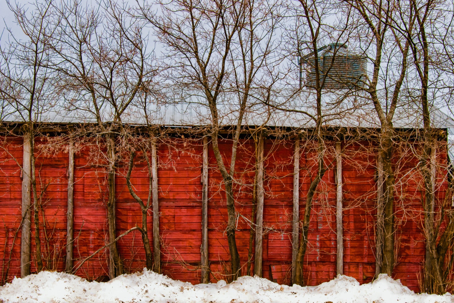 The Barn Trees - Nature Photography, Landscape Photography, Winter ...