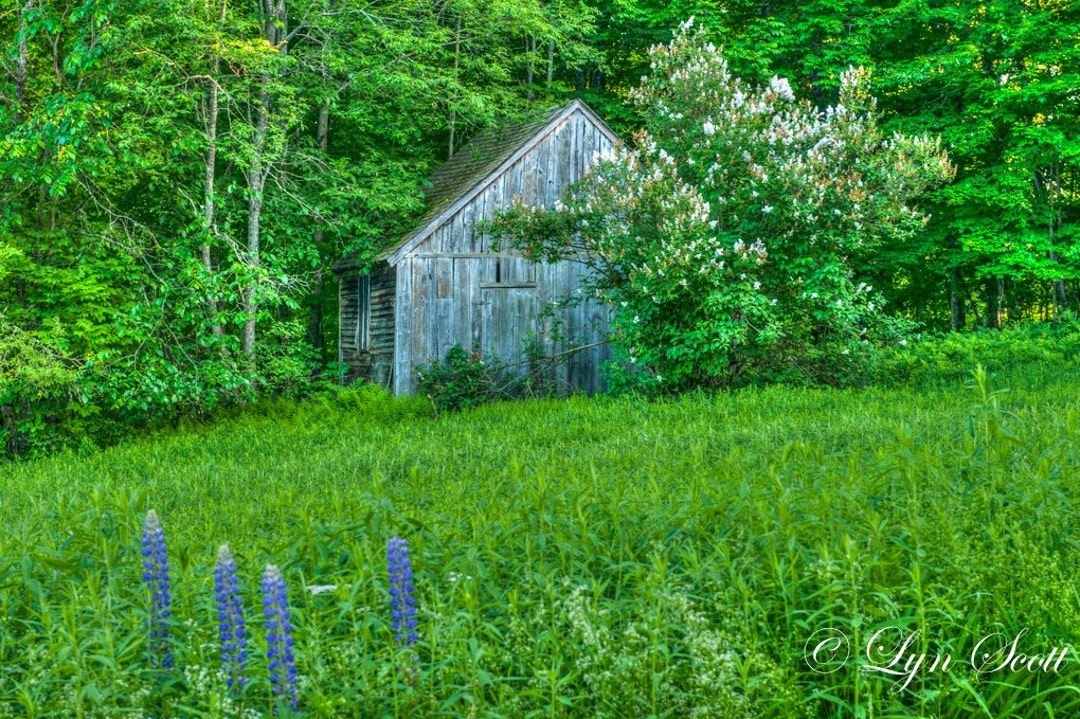 Old Barn - Nature Photography, Landscape, Photography, Art, Summer ...