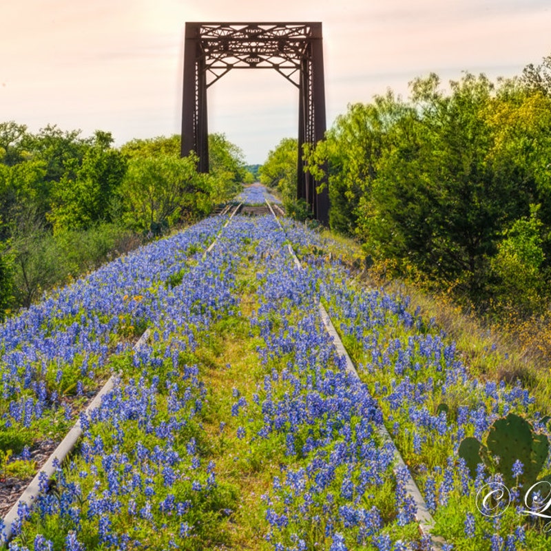 Texas Photography - Etsy