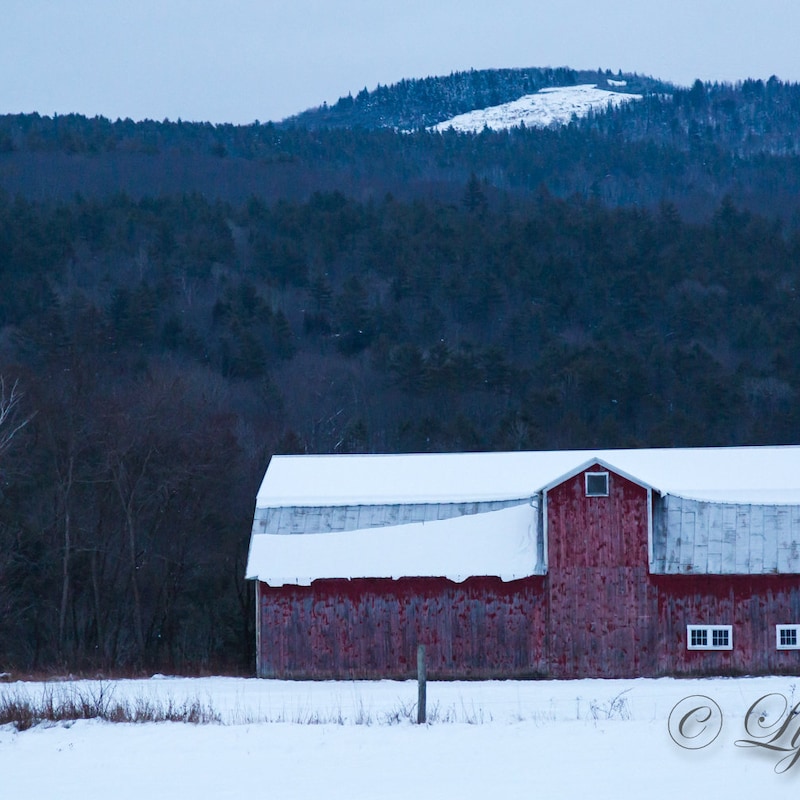 LynScottPhotography - Etsy