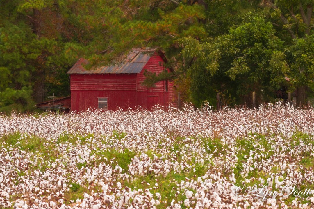 Red Barn Photography, Home Decor, Nature, Landscape, Photography, Fine ...