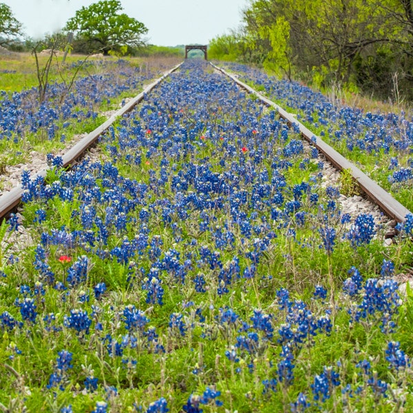 Western Photography - Etsy
