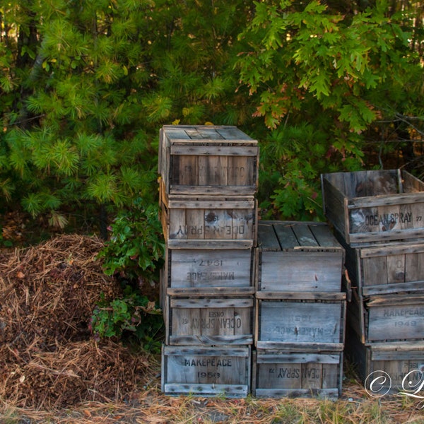 Cranberry Box - Etsy