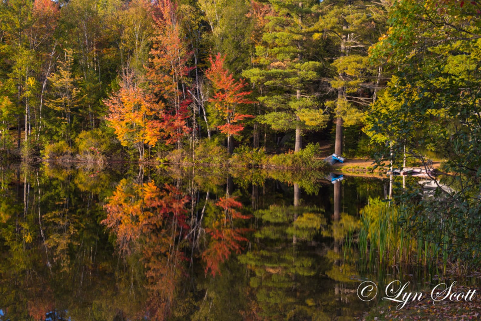 New Hampshire Pond - Nature Photography, Landscape Photography, Fall ...