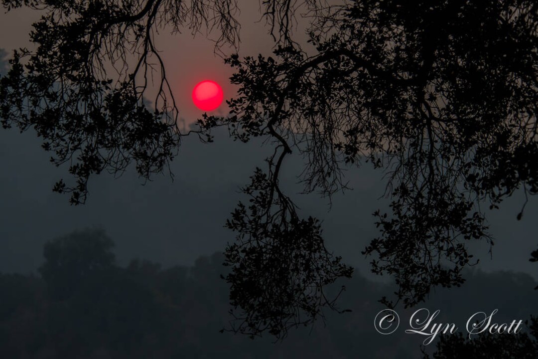 California Red Sun and Fire - Nature, Landscape, Wall Art, Winter ...