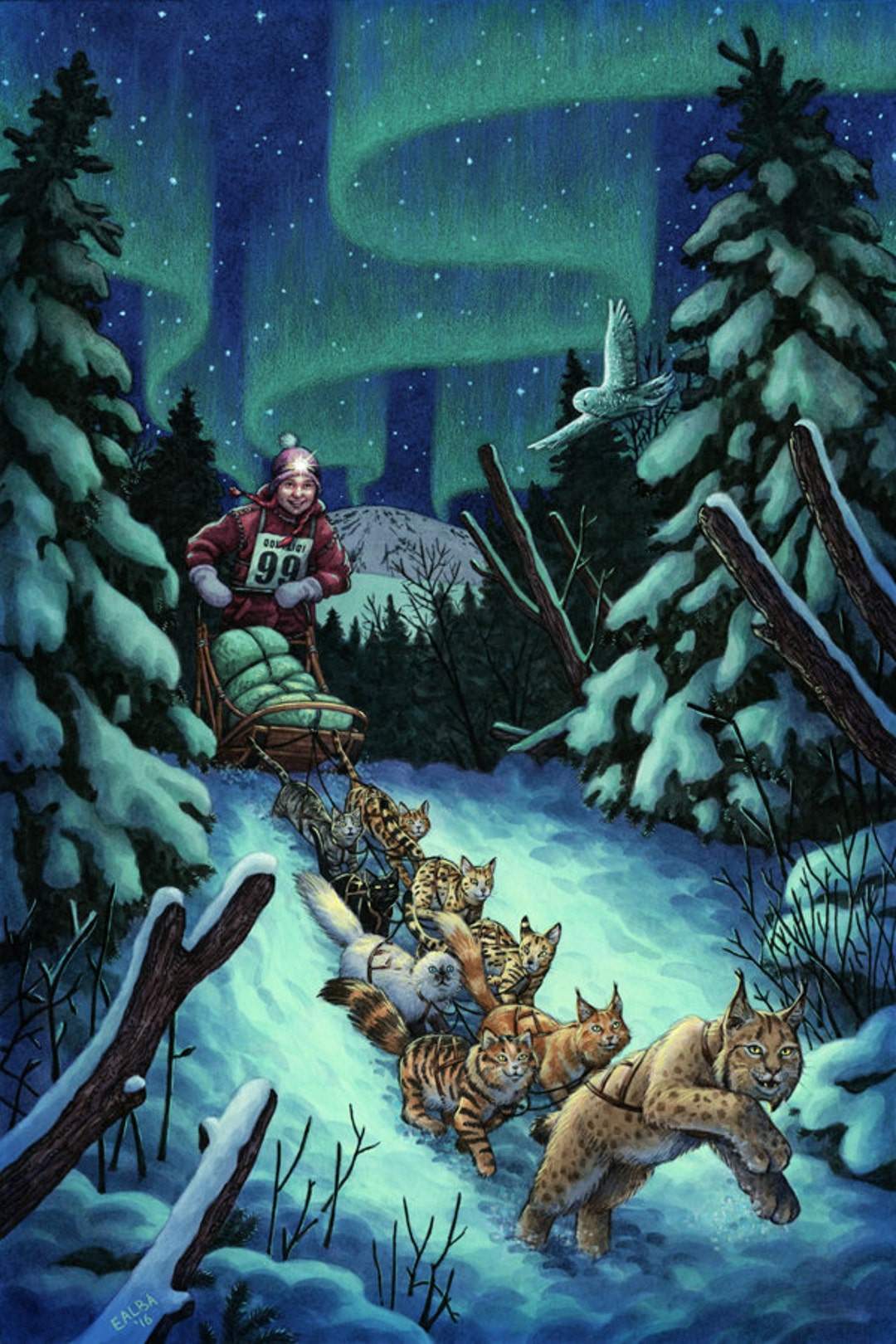 Cat Sledding Iditarod Illustration 12x16 - Etsy