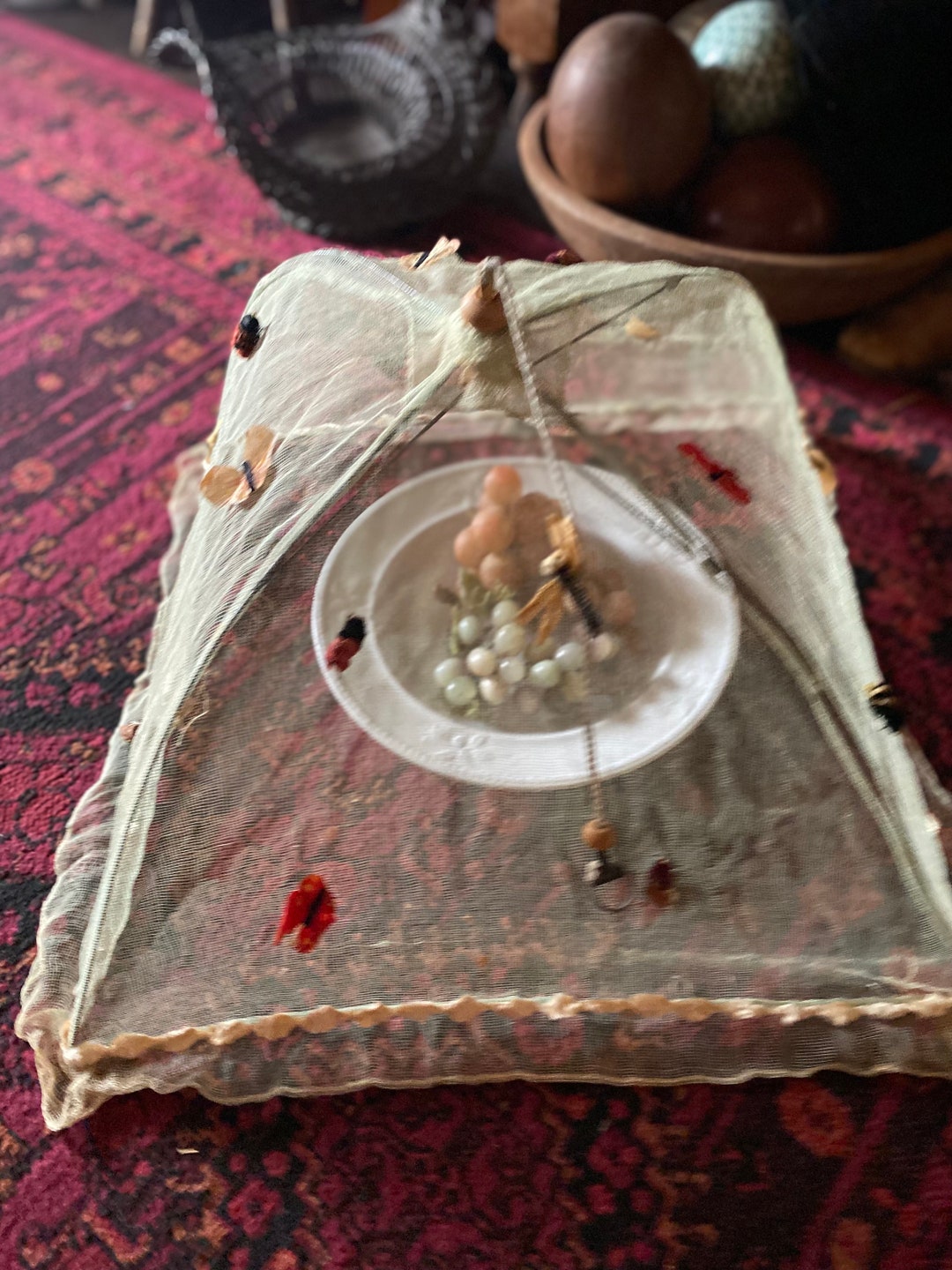 Rare Darling 1950s Outdoor, Picnic Food Protection Bug Netting - Etsy