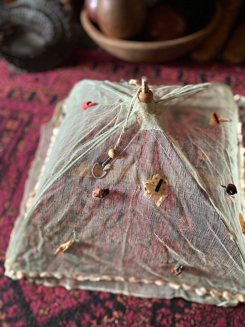 Rare Darling 1950s Outdoor, Picnic Food Protection Bug Netting - Etsy
