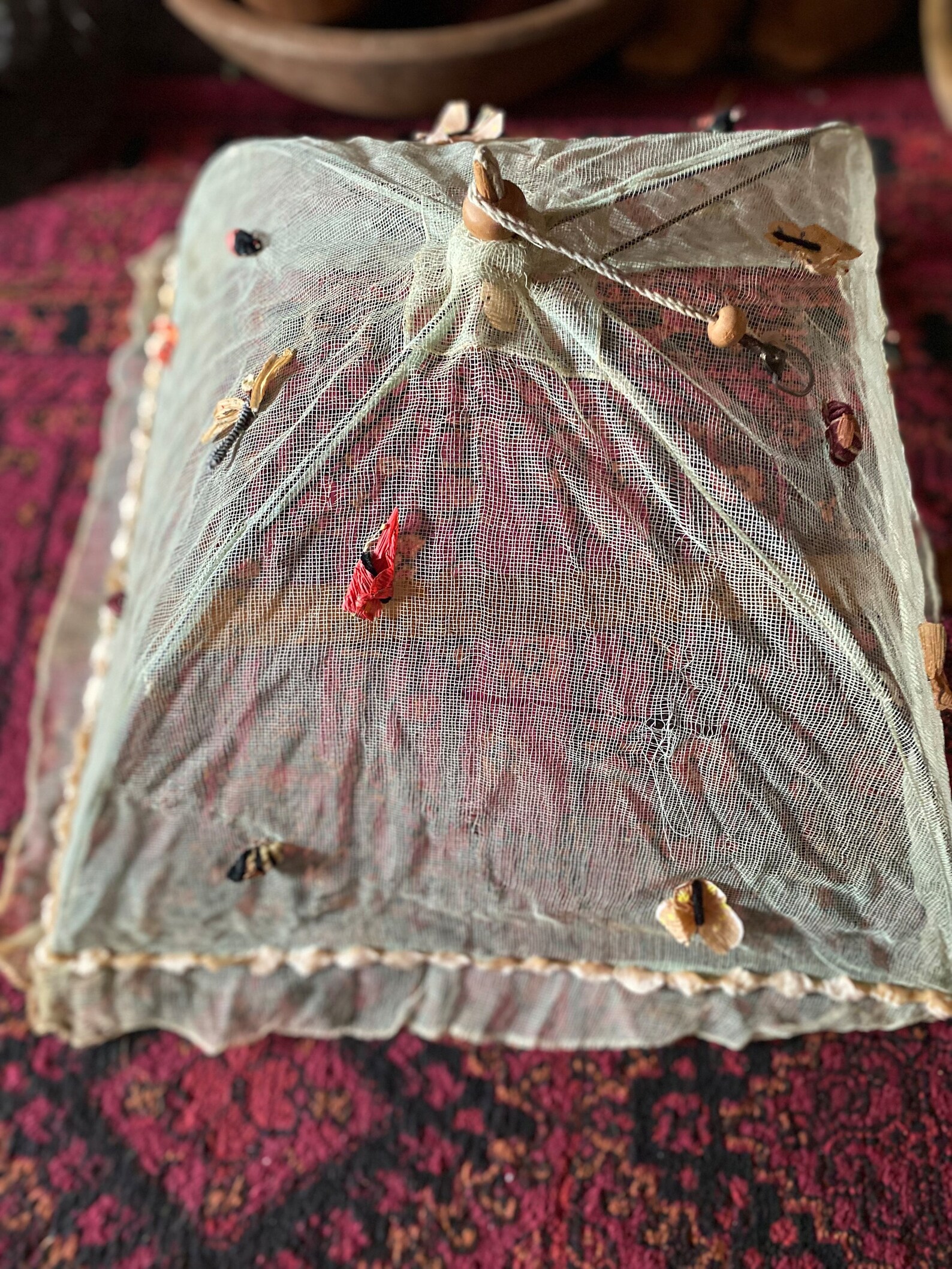 Rare Darling 1950s Outdoor, Picnic Food Protection Bug Netting - Etsy
