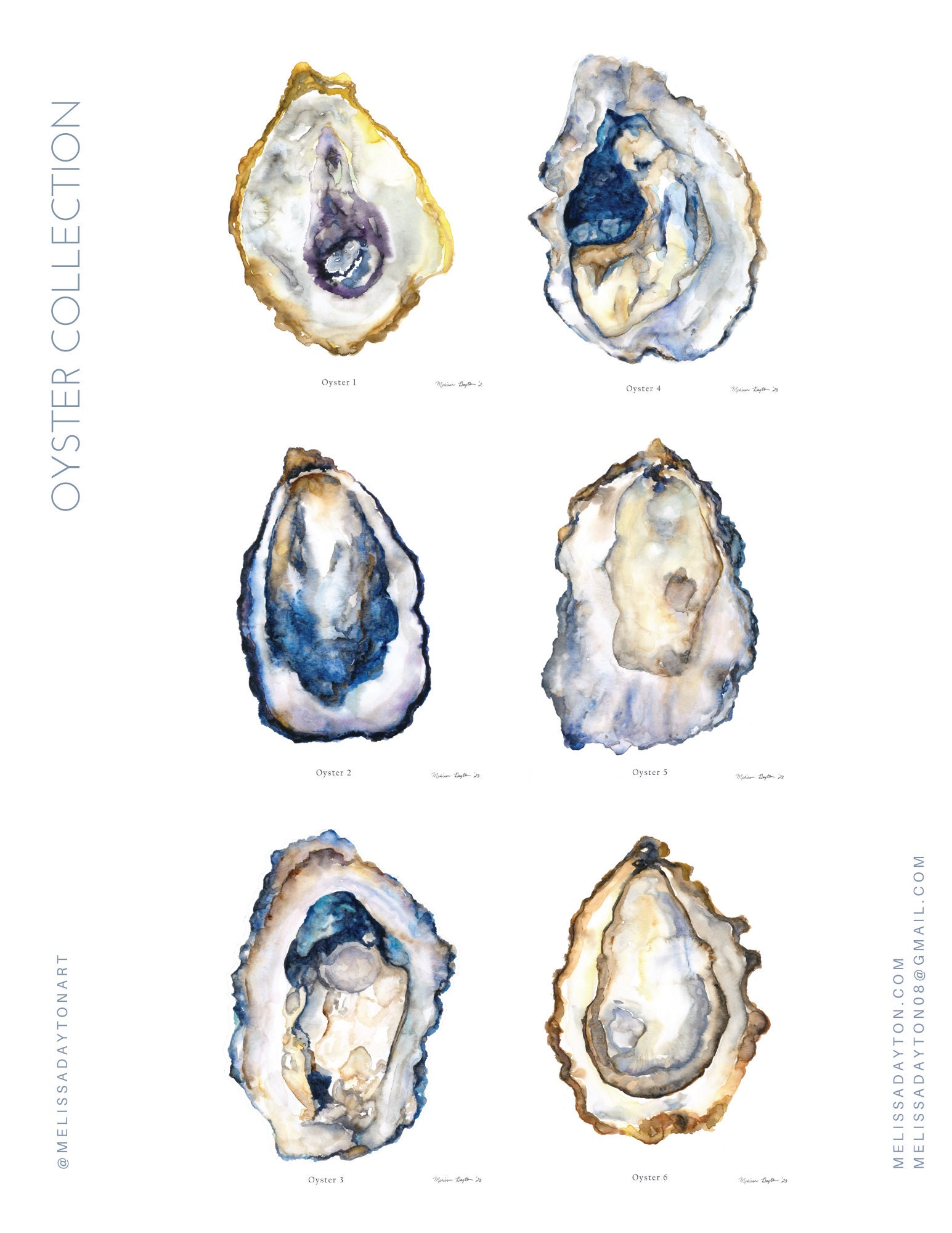 Oyster Art Prints Set of 6 Bundle Coastal Art Oyster Oyster Watercolor ...