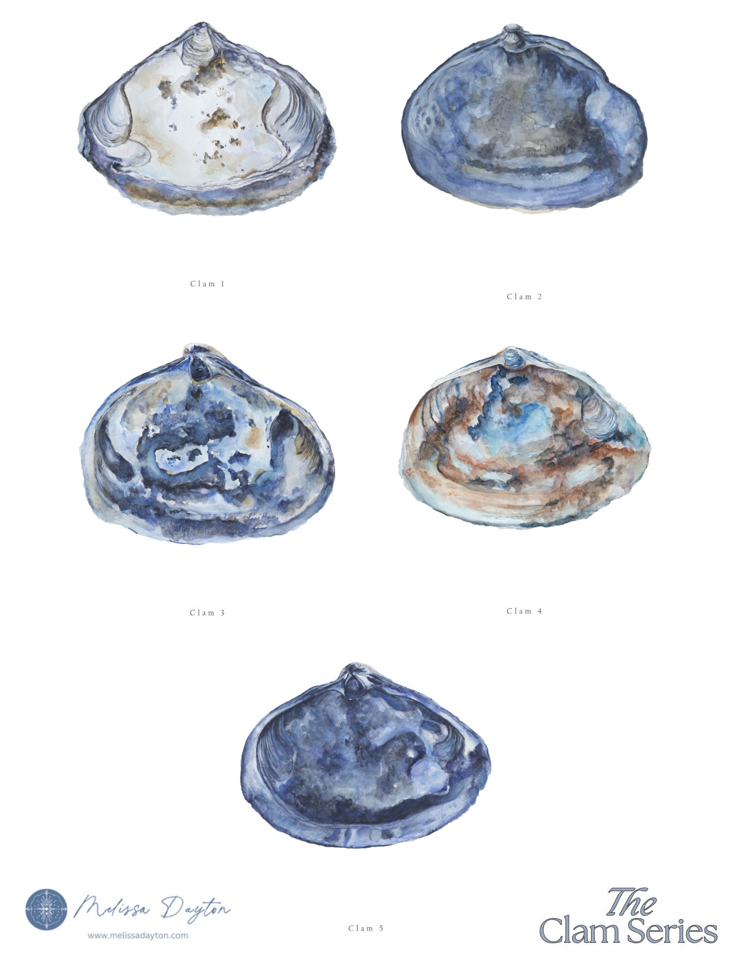 Side View 3 CLAMS Blue Shells Art Print Coastal Art CLAM Watercolor ...