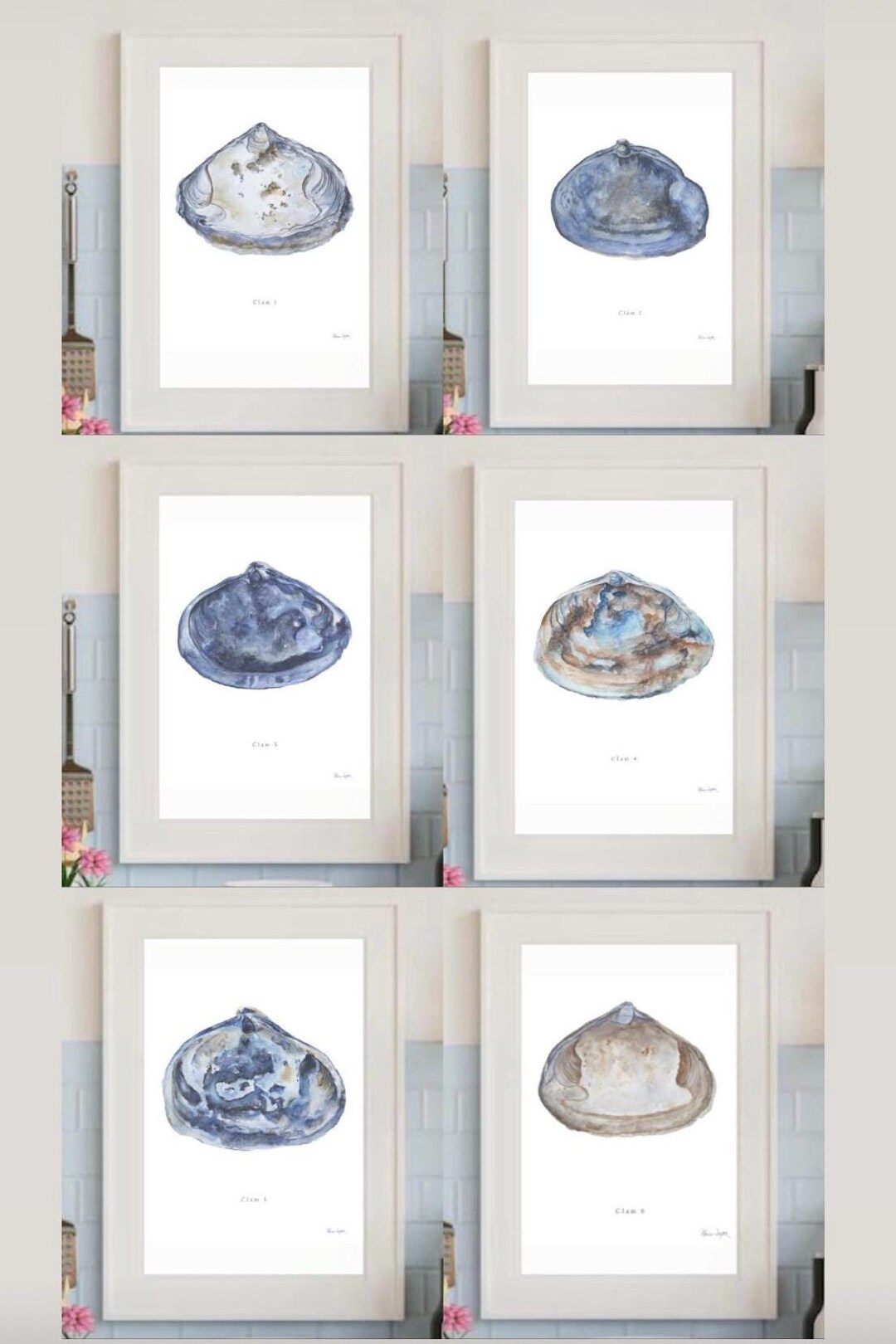 Clam Shell Watercolor Art Prints - Coastal Gallery Wall Set of 6 - Etsy