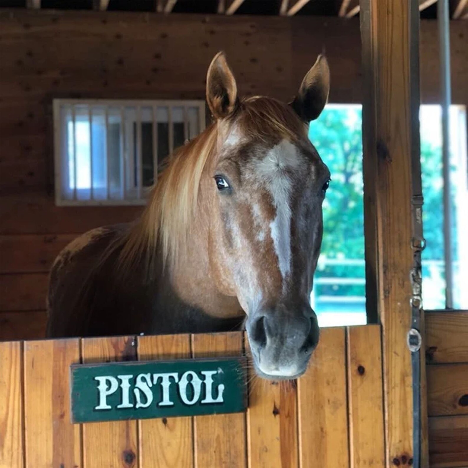 PERSONALIZED Horse Stall Sign. Large Horse Stall Name Plaque. - Etsy