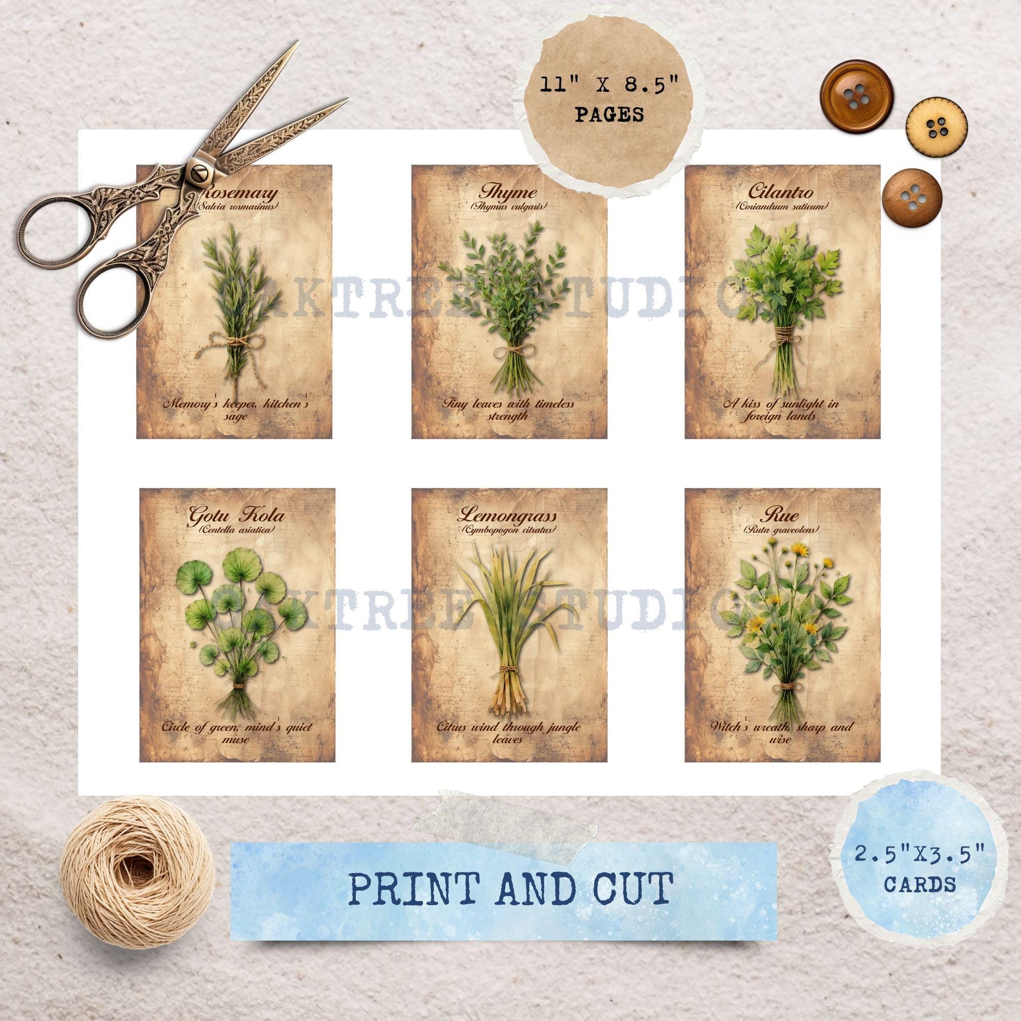 Vintage Herb Card Ephemera: Printable Botanical Junk Journal Cards (PDF ...