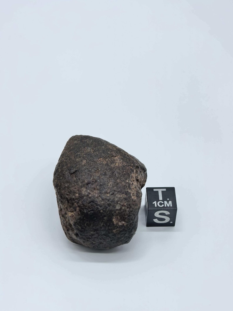 Northwest African Chondrite Meteorite – 84.6g Space History Fragment - Etsy