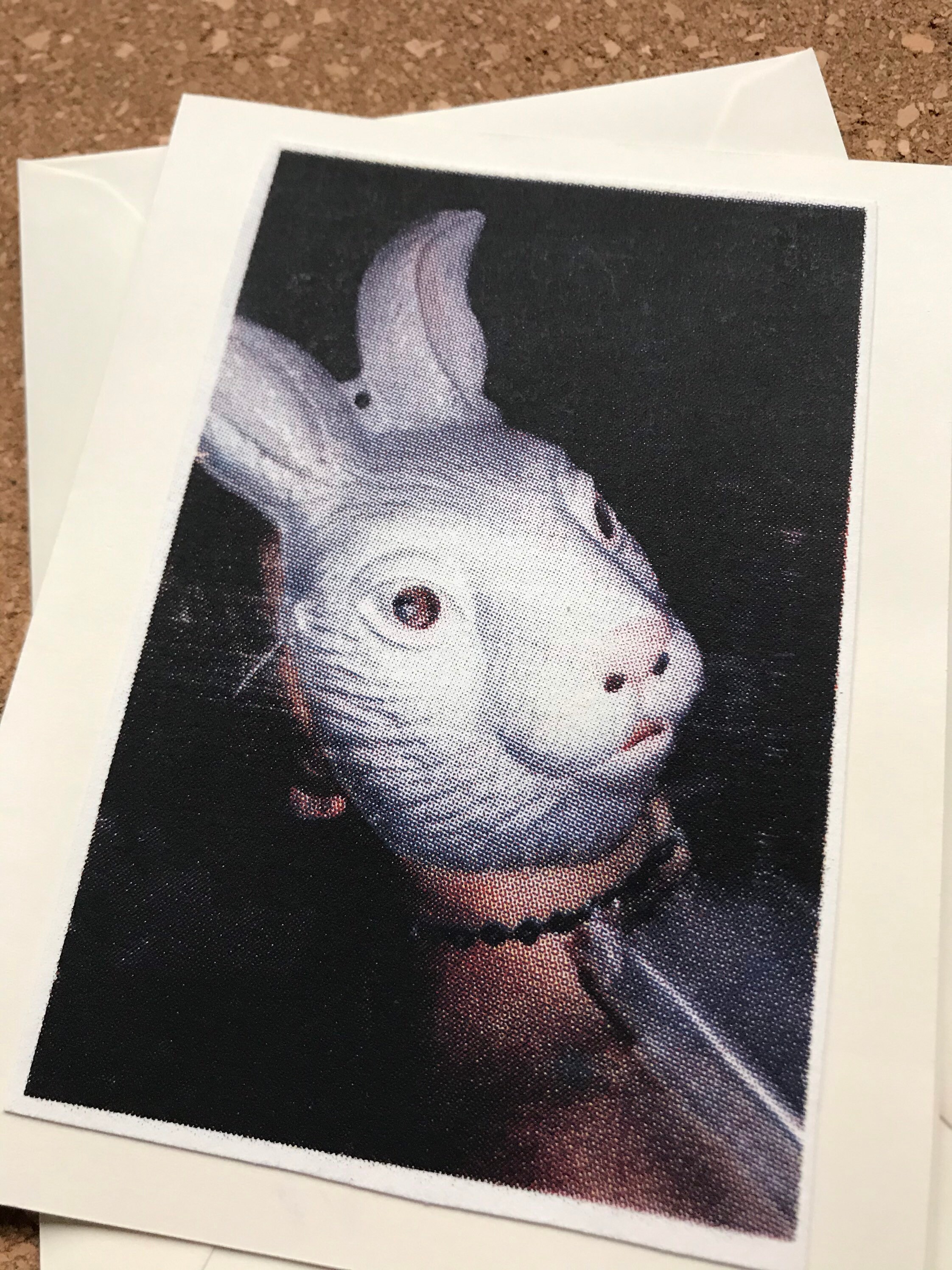 The Real Easter Bunny