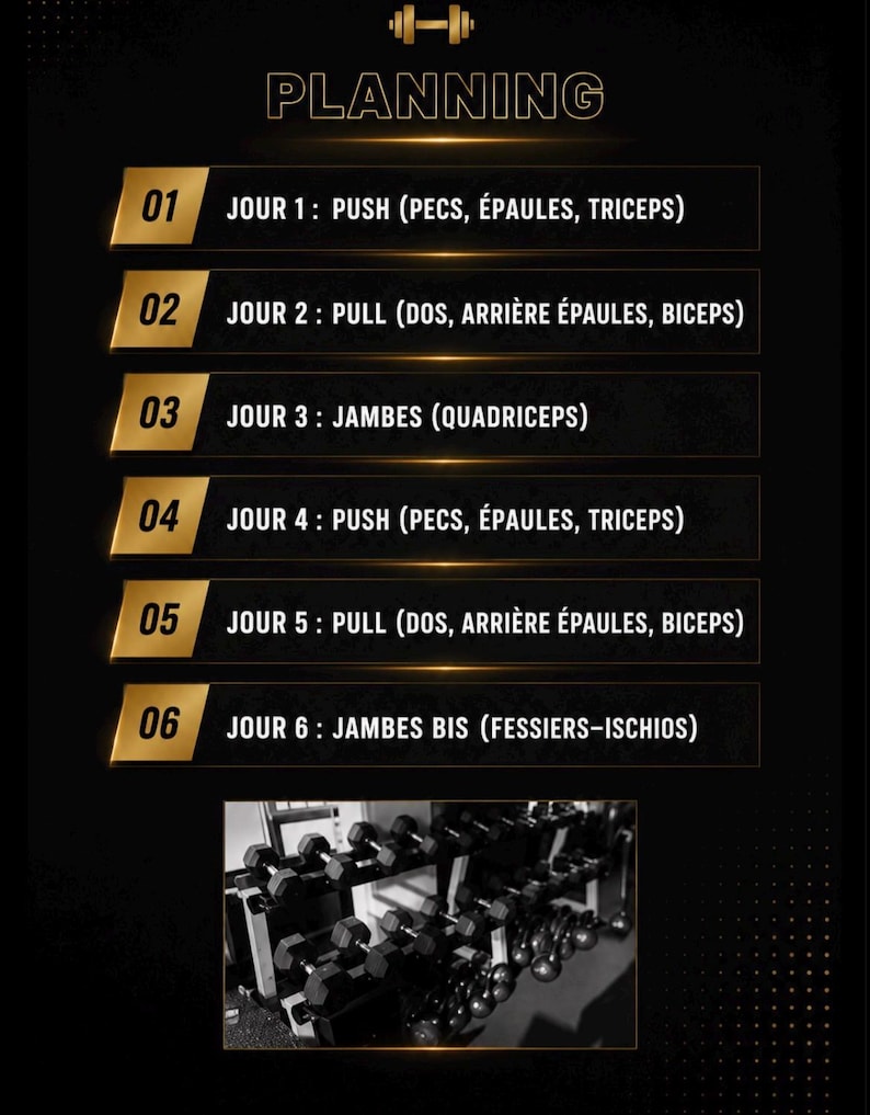 Advanced PPL Bodybuilding Program | Muscle Gain & Hypertrophy | 6-day ...