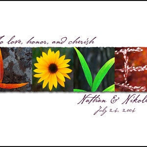 Words Inspired by Nature: LOVE Photographic Print- Red E & Yellow ...