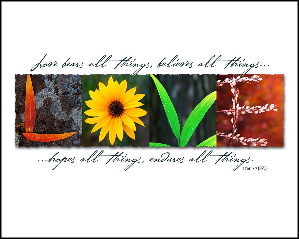 Words Inspired by Nature: LOVE Photographic Print- Red E & Yellow ...