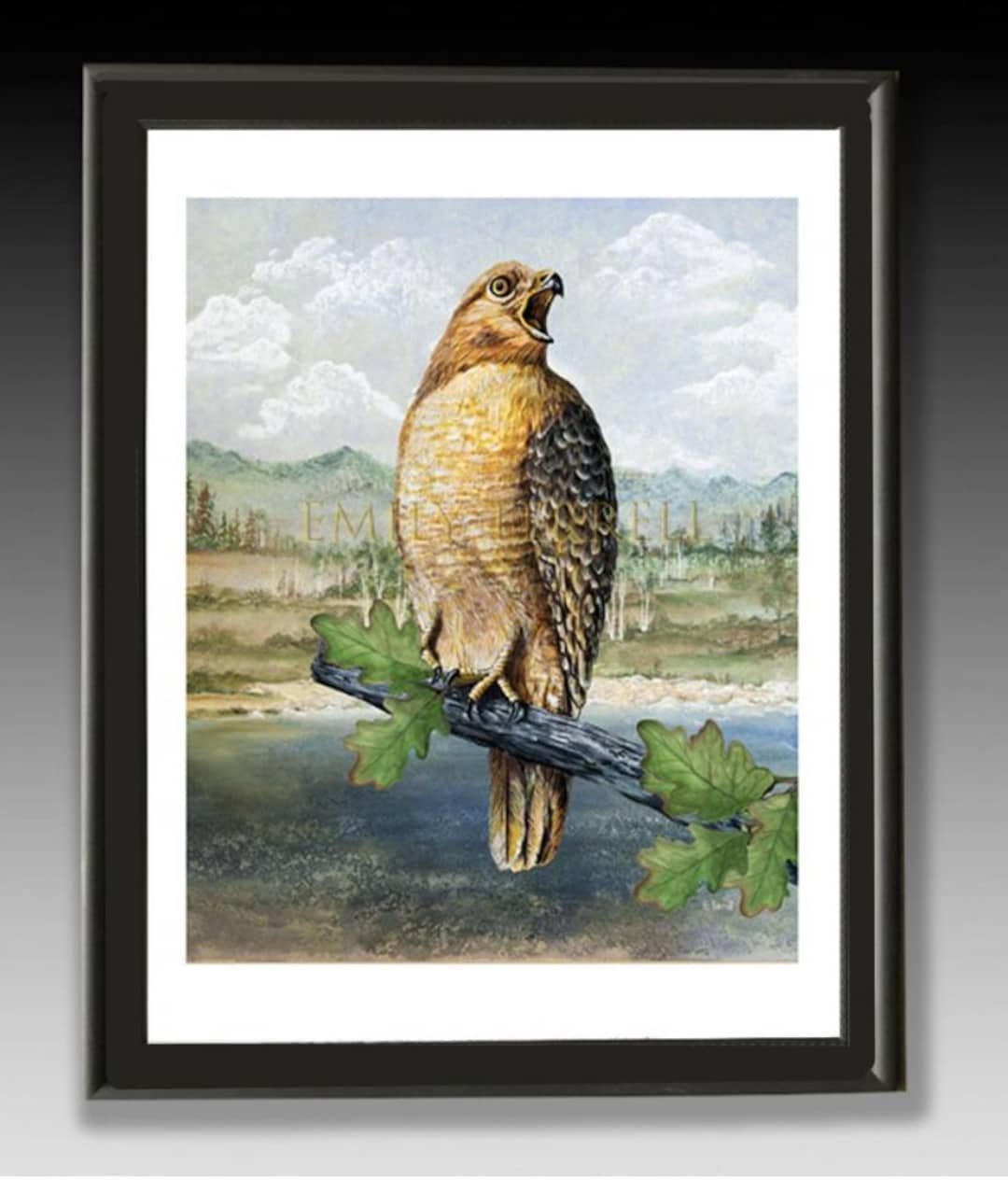 Hawk Call Print, Birds of Prey, Bird Paintings, Hawks, Hawk Paintings ...