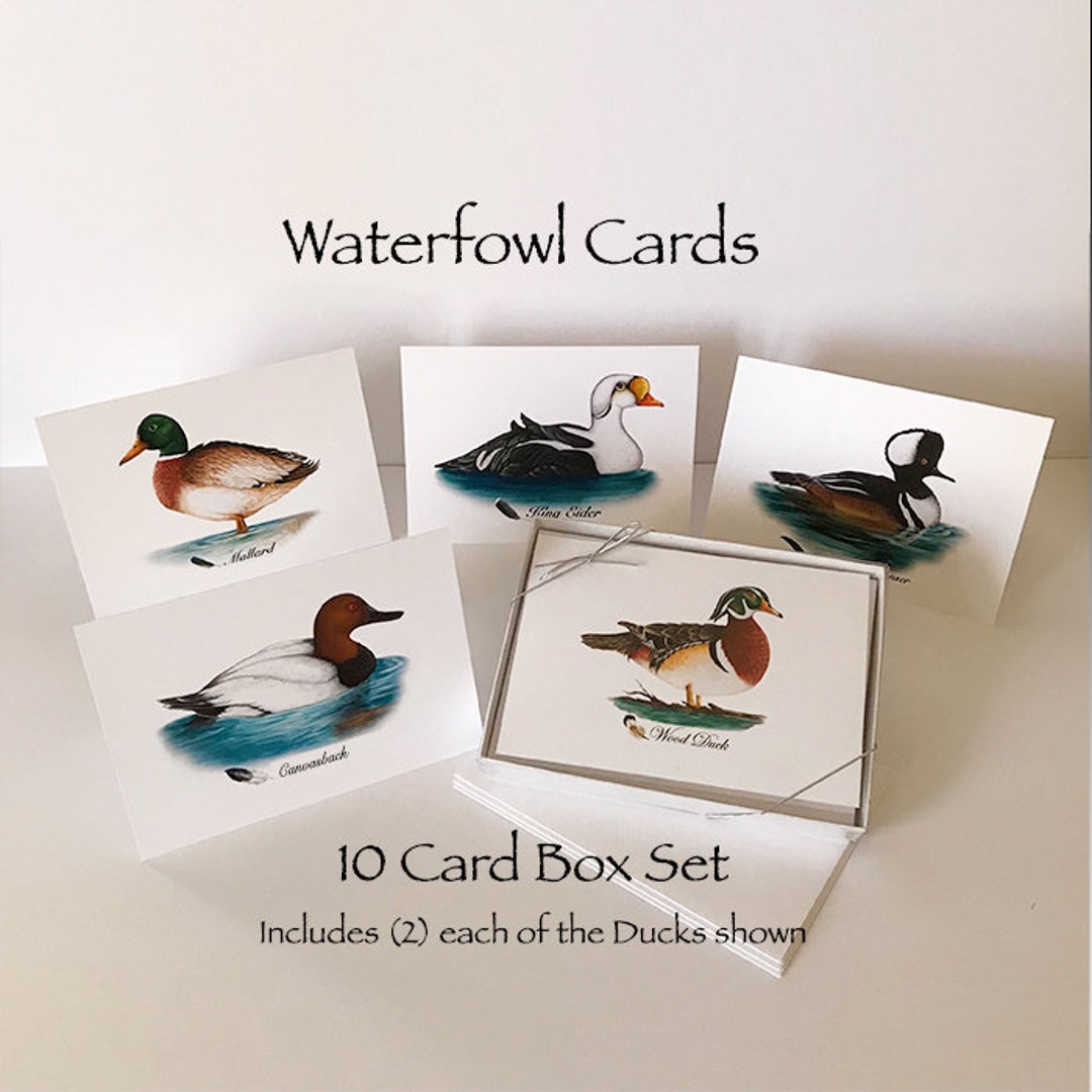 Duck Art Card Set: Waterfowl Stationery - Etsy