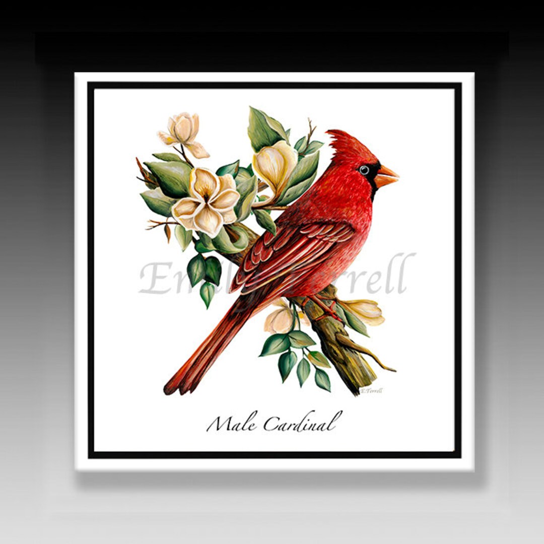 Red Cardinal Tile, Male Cardinal, Cardinal Print, Tiles, Ceramic Tile ...