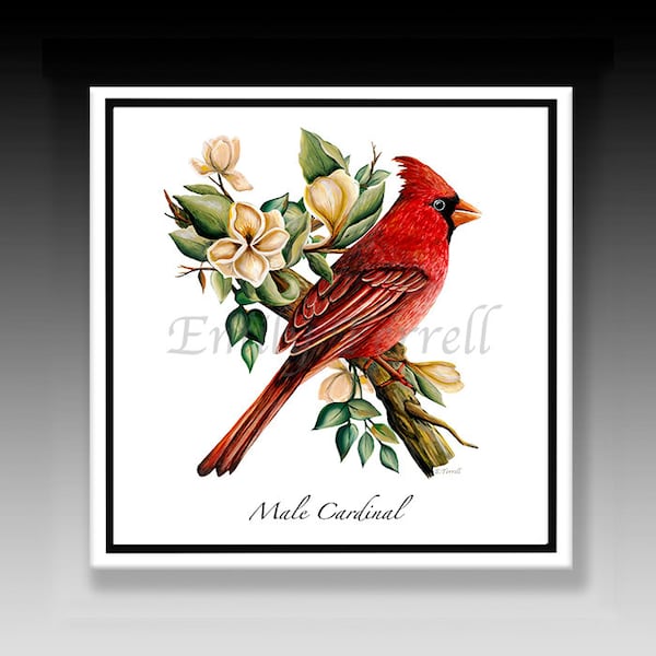 Cardinal Print - Etsy