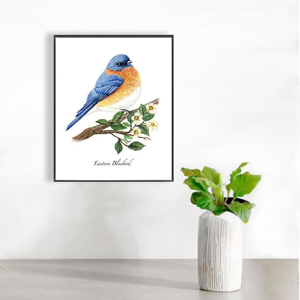 Eastern Bluebirds - Etsy Eastern Bluebirds - Etsy