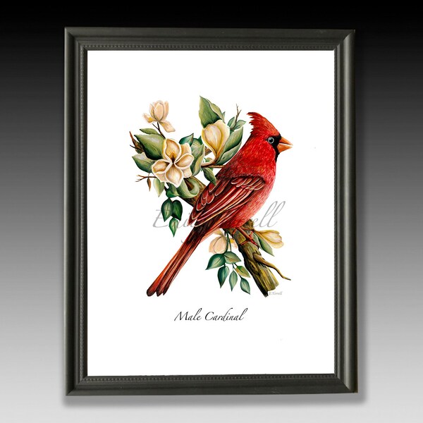 Cardinal Painting - Etsy