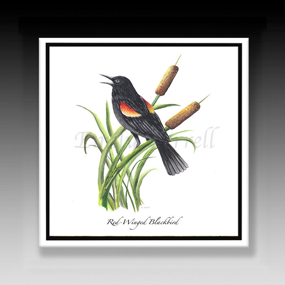 Red Wing Blackbird Tile, Red Wing Blackbird Print, Blackbirds ...