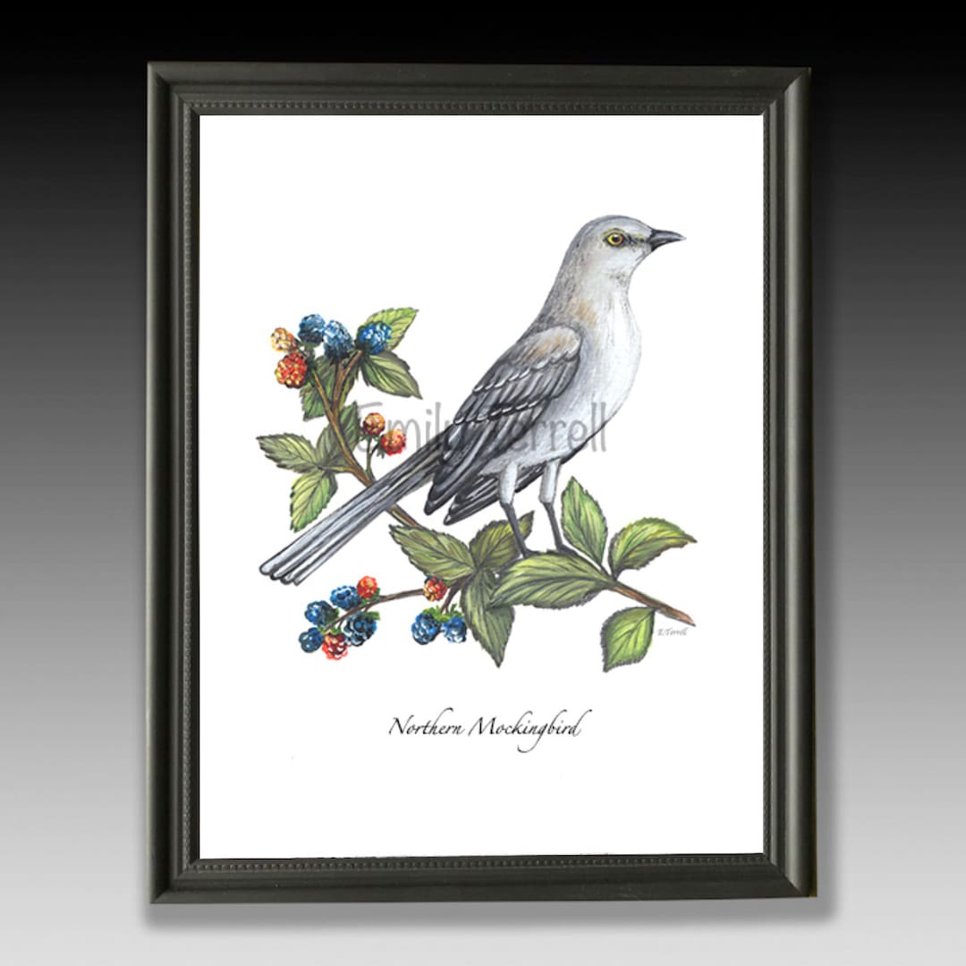 Mockingbird Print, Mockingbirds, Ceramic Tile Bird Prints, Bird ...