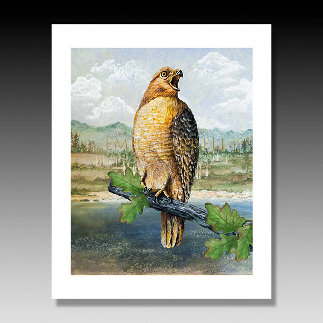Hawk Print, Red Tail Hawk, Birds of Prey, Bird Paintings, Hawks, Hawk ...