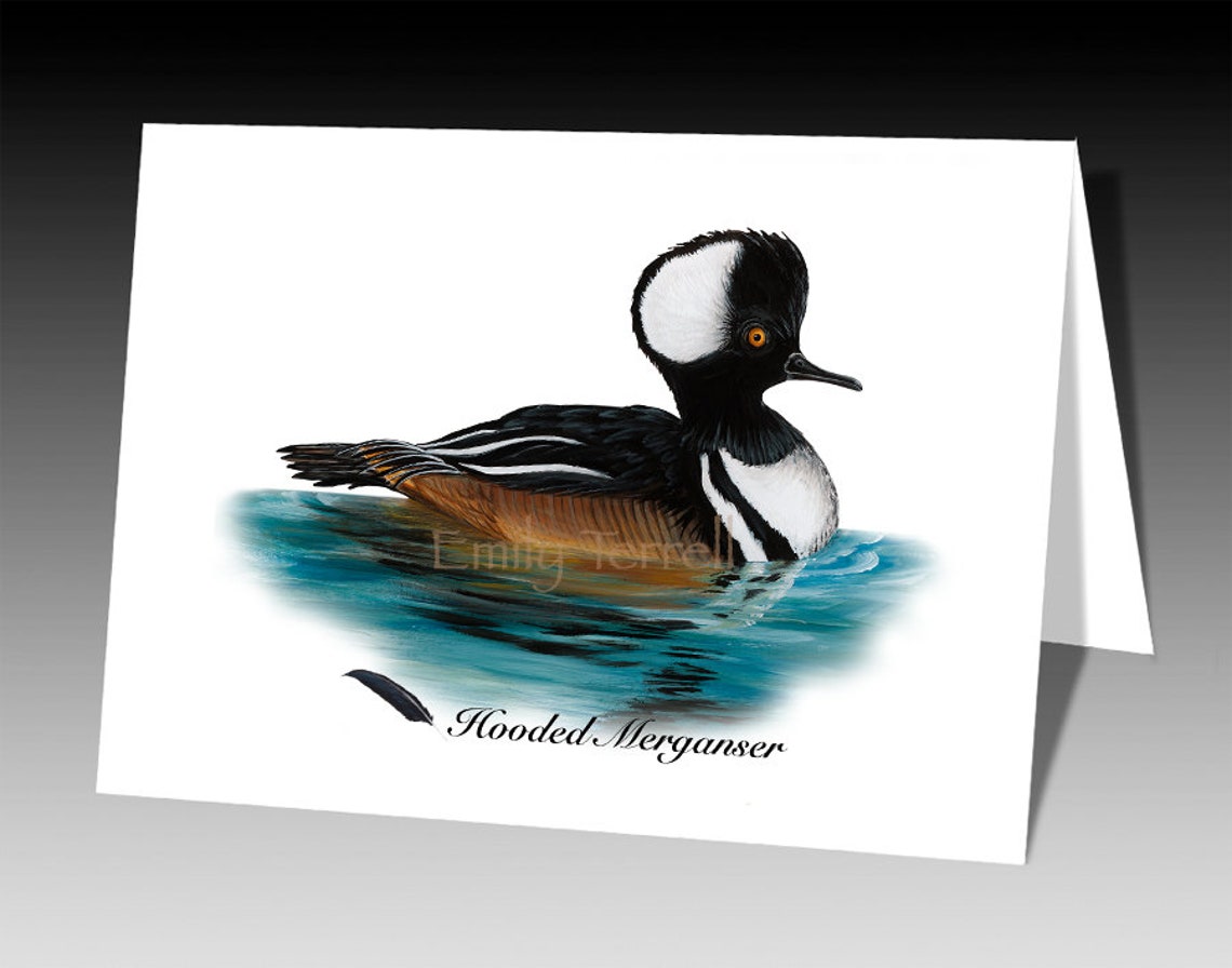 Duck Art Card Set: Waterfowl Stationery - Etsy