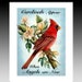 Cardinal Appear When Angels Are Near. Quotes, Angels, Cardinals ...